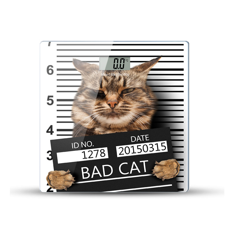 Custom Silk Printing Glass Bathroom Scale Manufacturers, Suppliers ...